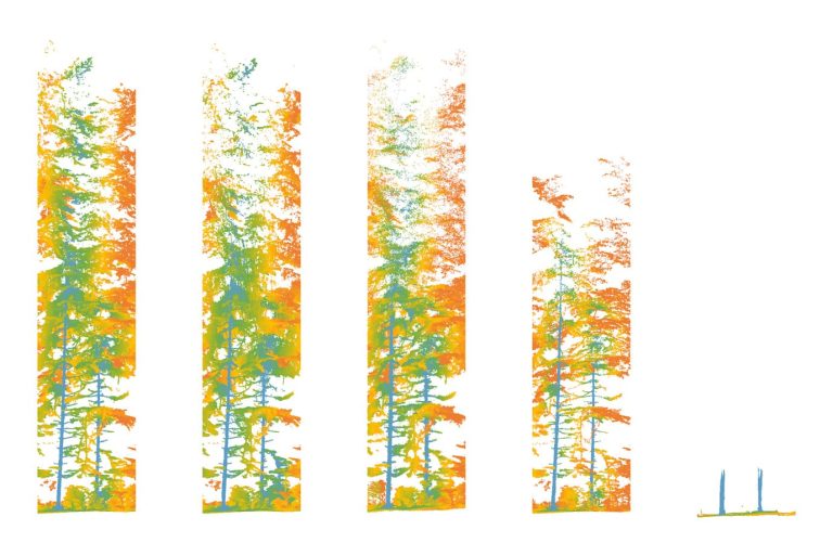 3DForEcoTech – COST Action CA20118 – Three-dimensional Forest Ecosystem ...